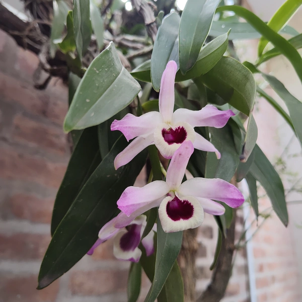 María Mercedes Sappia | profe.social