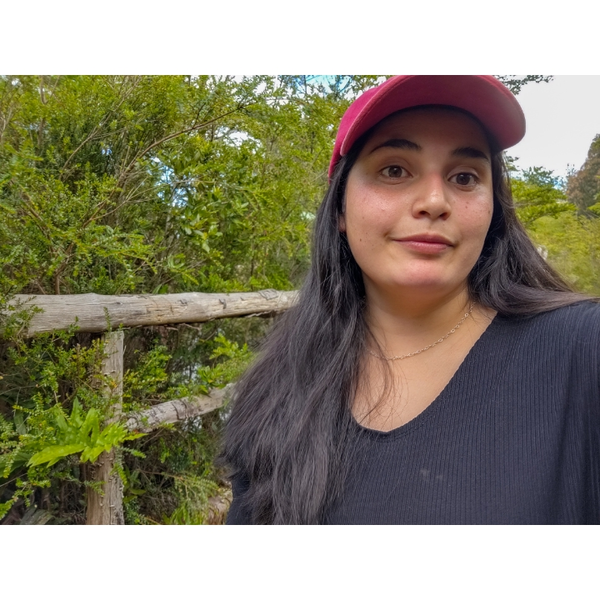 Roxana Vargas | profe.social