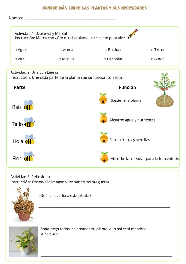 Necesidades de las Plantas, 3ro básico | profe.social