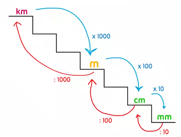 Escalera de medición | profe.social