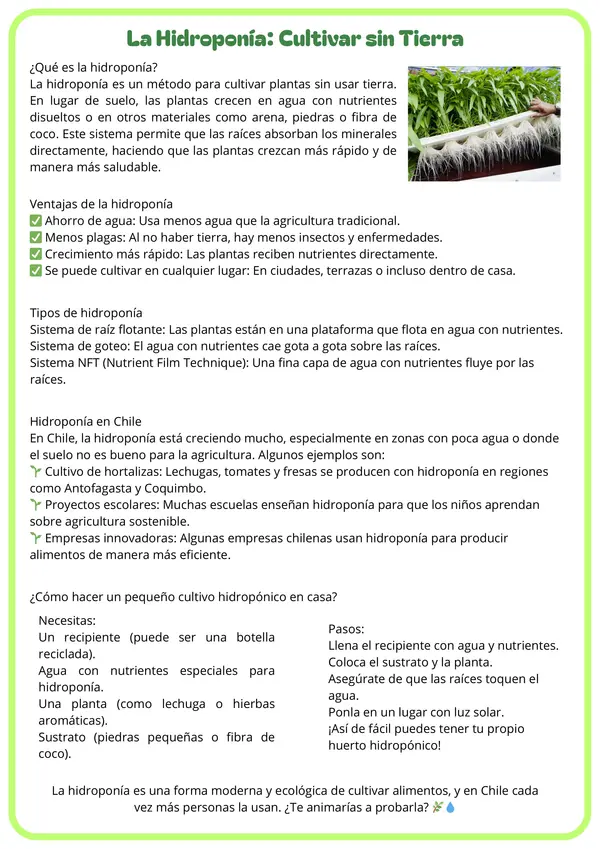 Necesidades de las Plantas, 3ro básico | profe.social