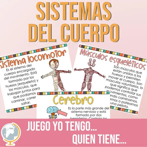 Sistemas del cuerpo Juego Yo tengo... Quién tiene | profe.social
