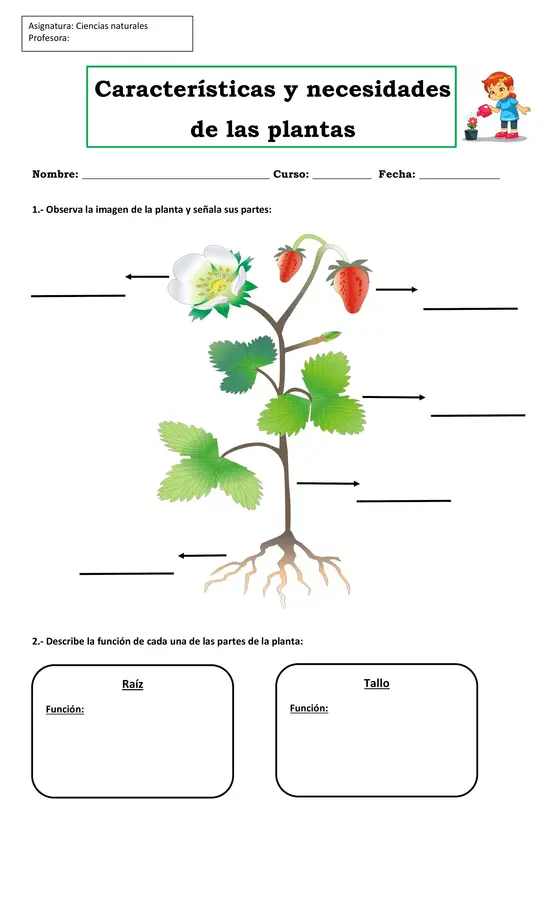 Guía características y necesidades de las plantas. | profe.social