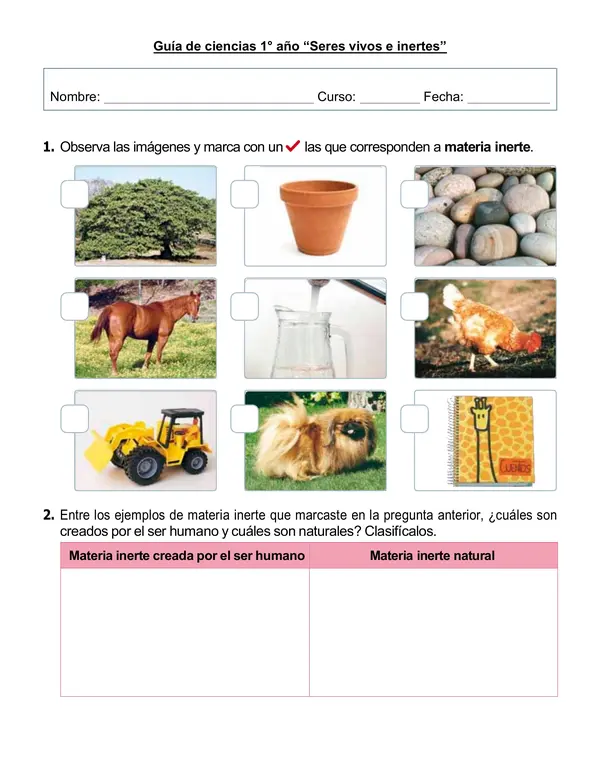 Guía de ciencias 1° año "Seres vivos e inertes" | profe.social