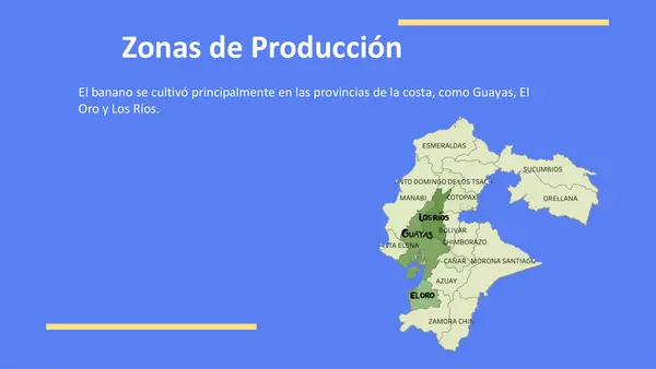 El Auge Bananero | profe.social