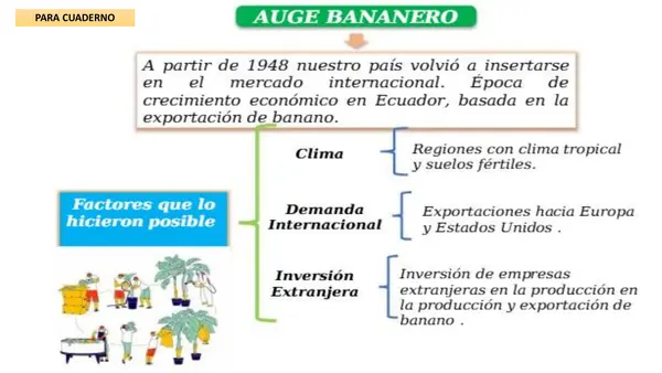 El Auge Bananero | profe.social