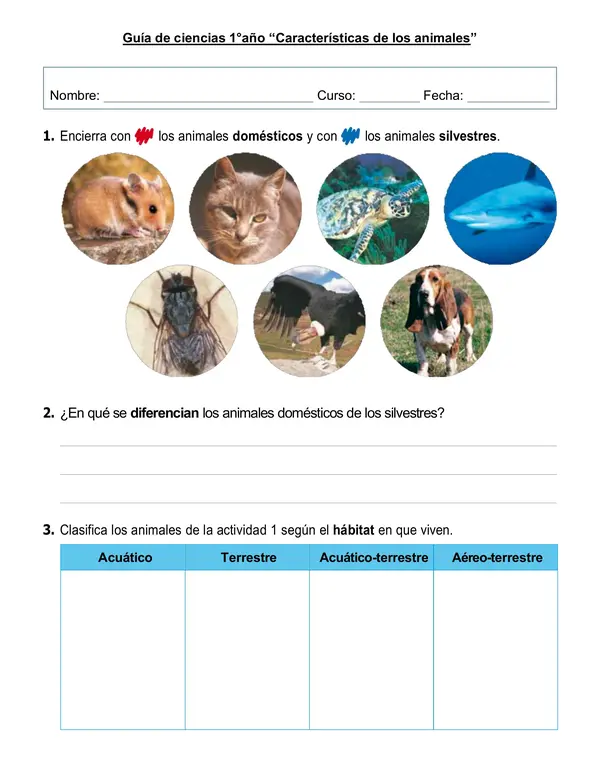 Guía de ciencias 1°año "Características de los animales" | profe.social