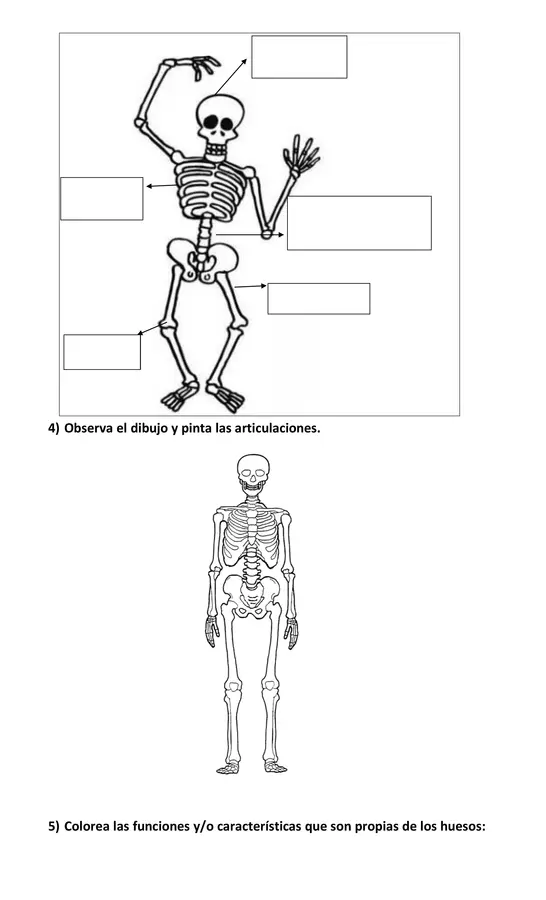 "Cuerpo Humano" | profe.social