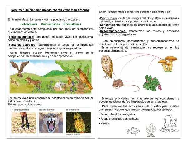 Guía resumen de ciencias 4° año "Seres vivos y su entorno" | profe.social