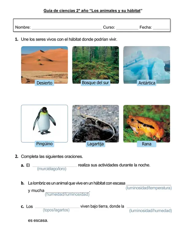 Guía de ciencias 2° año "Los animales y su hábitat". | profe.social