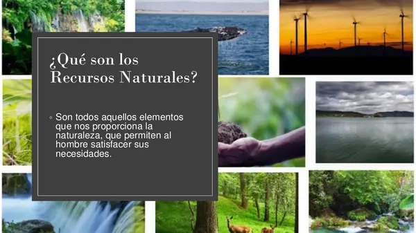 recursos naturales | profe.social