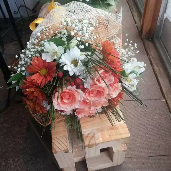 Marisol Ibáñez | profe.social