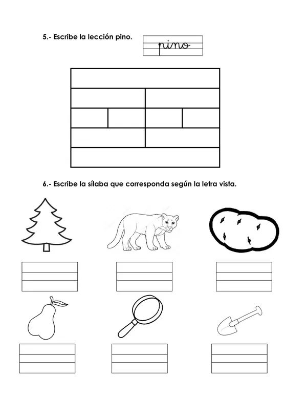 Lección pino | profe.social