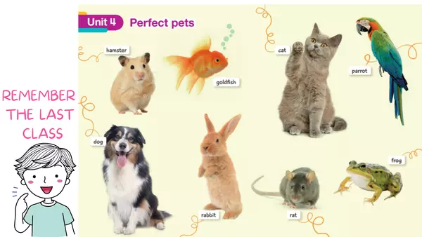 MY PET | profe.social