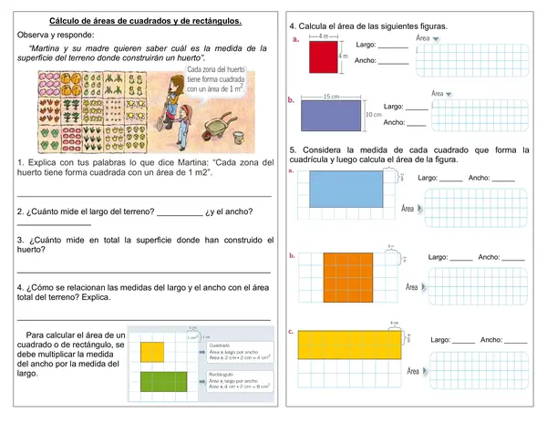 Guía de matemática 4° año "Cálculo de área de un cuadrado y un ...