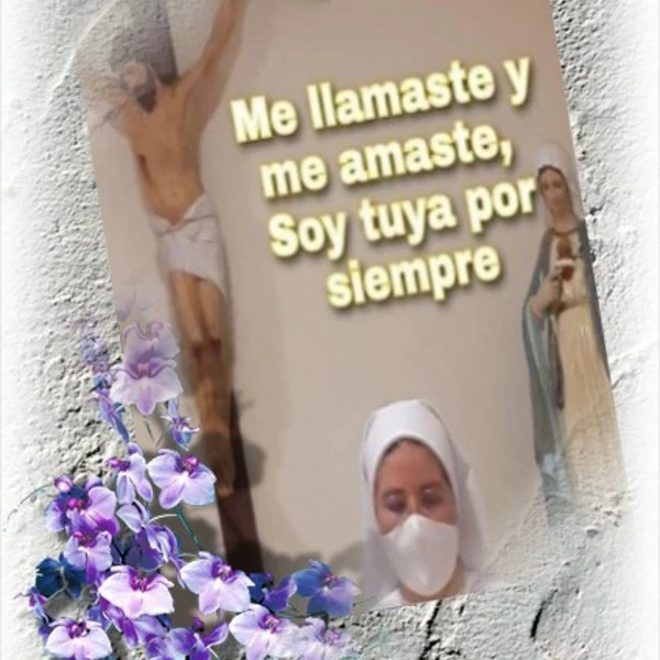 Rosa Vilchez Palomino | profe.social
