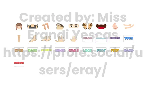 Parts of the body flashcards | profe.social