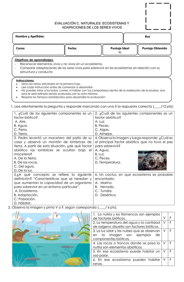 Ecosistemas y adaptaciones de los animales | profe.social