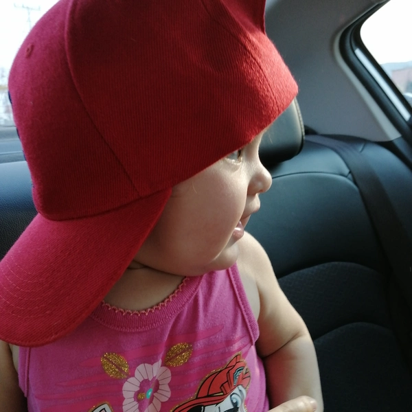 Alma leticia Pacheco | profe.social