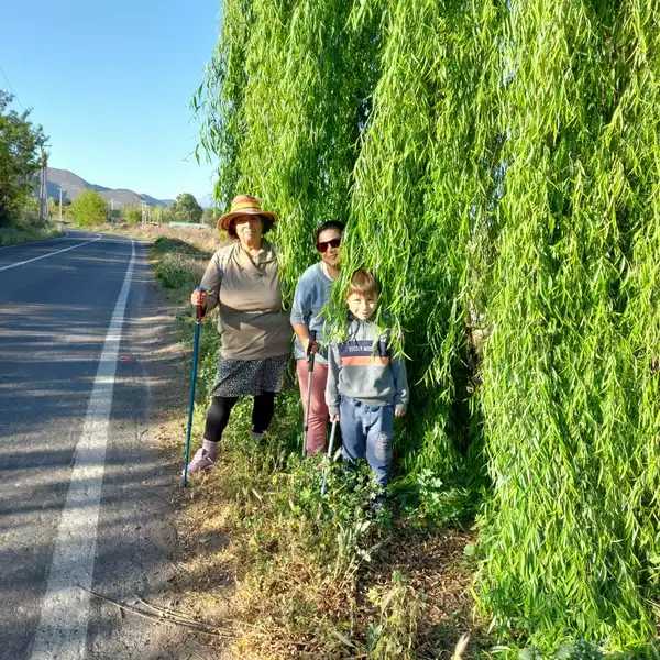 Ximena Carrasco | profe.social