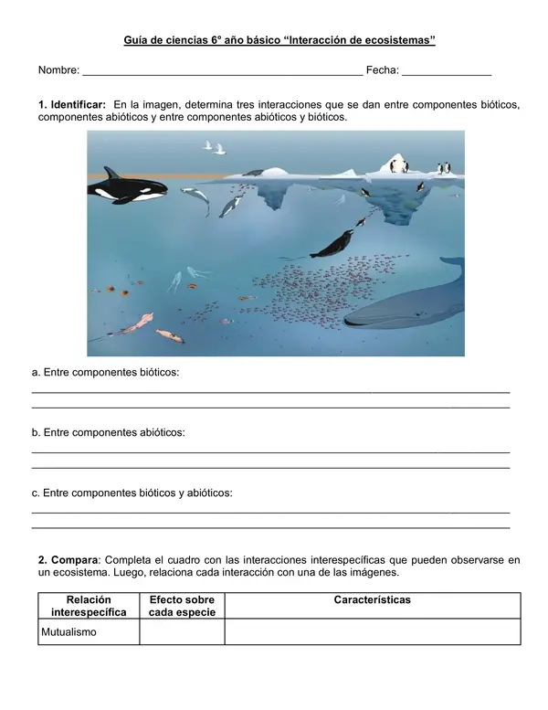 Guía de ciencias 6° año "Interacciones de ecosistemas". | profe.social