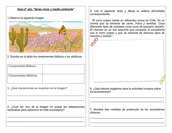Guía de ciencias 4°año "Seres vivos y medio ambiente" | profe.social