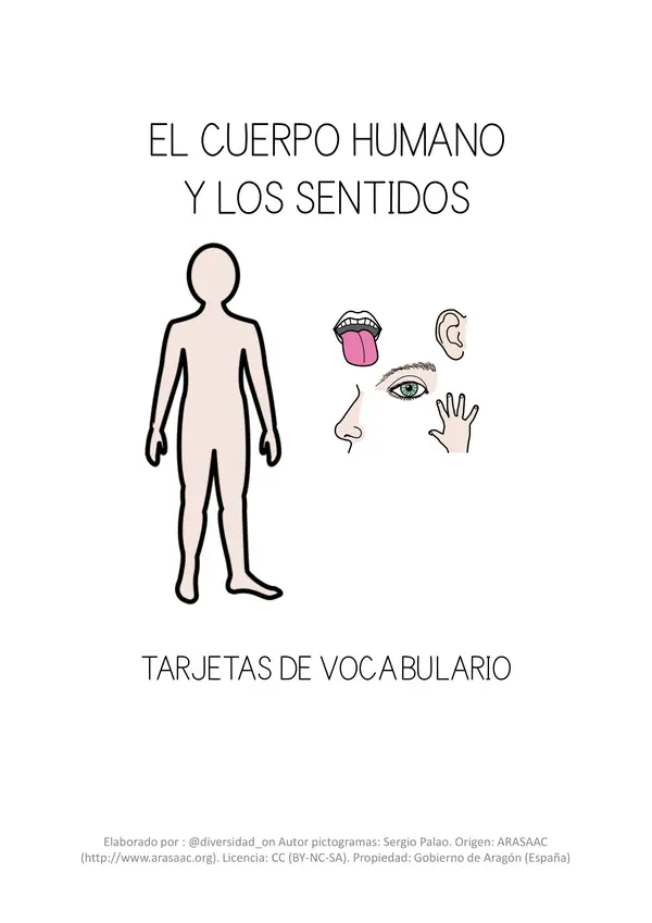 Tarjetas el cuerpo humano | profe.social