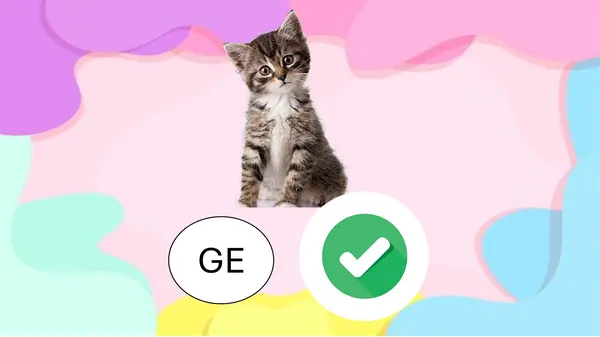 Sonido Inicial Y Final Vocalicos Profe Social