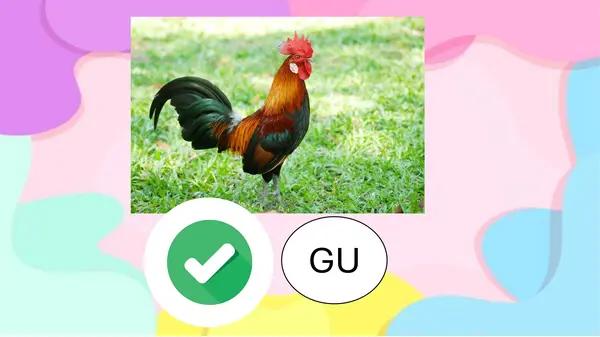 Sonido Inicial Y Final Vocalicos Profe Social