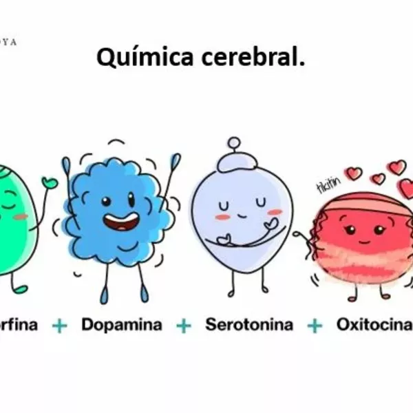 Leidy | profe.social