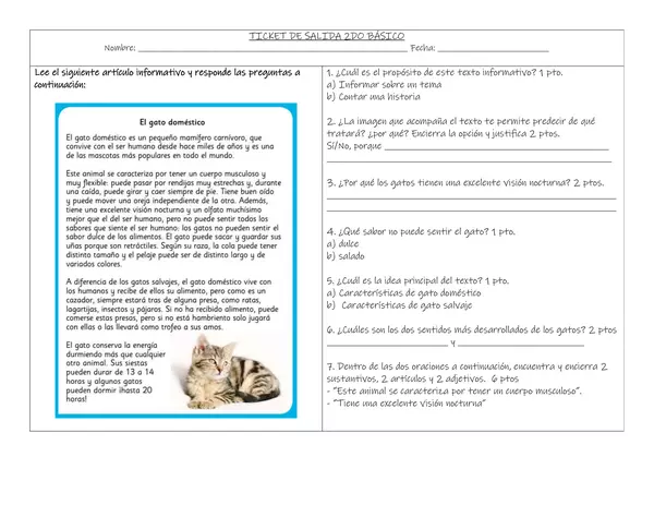 Comprensión lectora 2do | profe.social