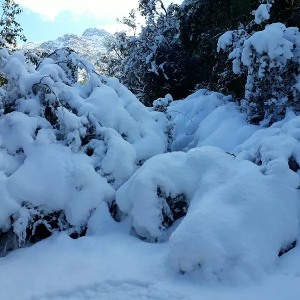 Leslie Arancibia | profe.social