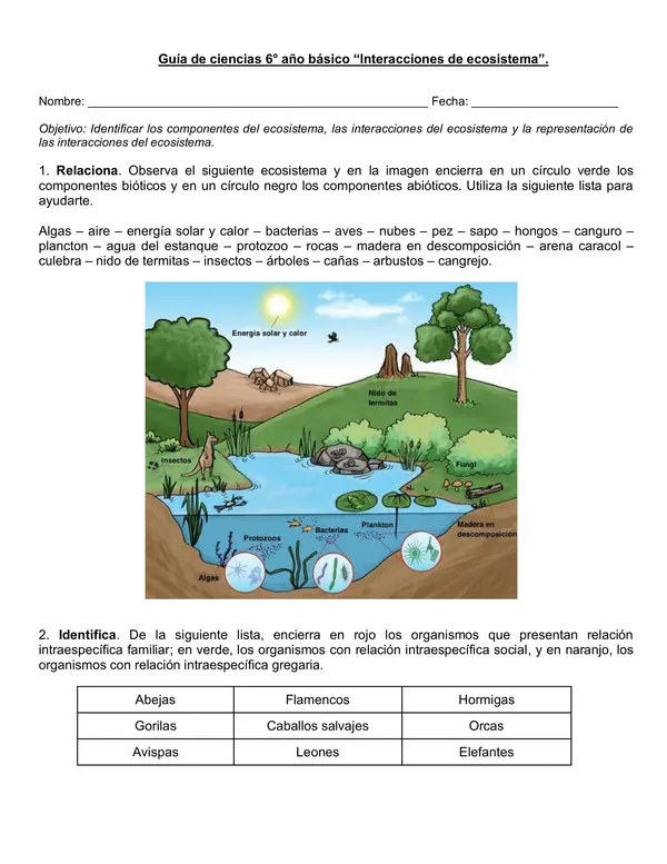 Guía de ciencias 6° año "Interacción de ecosistema". | profe.social