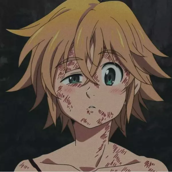 Chris Hoyos | profe.social