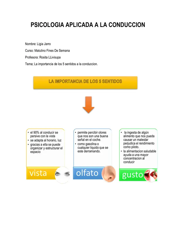 los 5 sentidos y la importancia en la conducción | profe.social