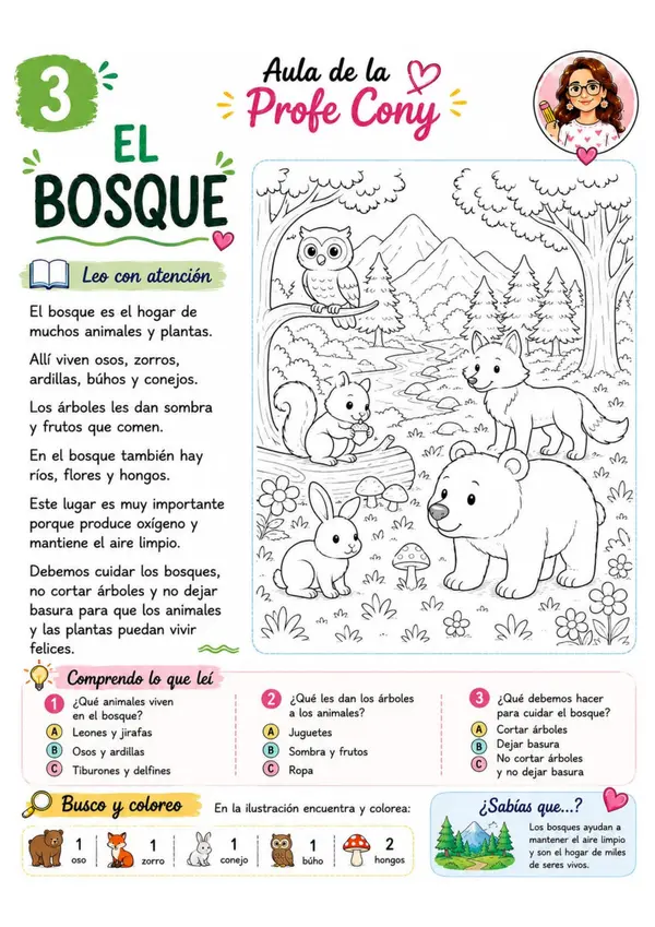 Libro Busco y Coloreo: Animales y sus Hogares | profe.social
