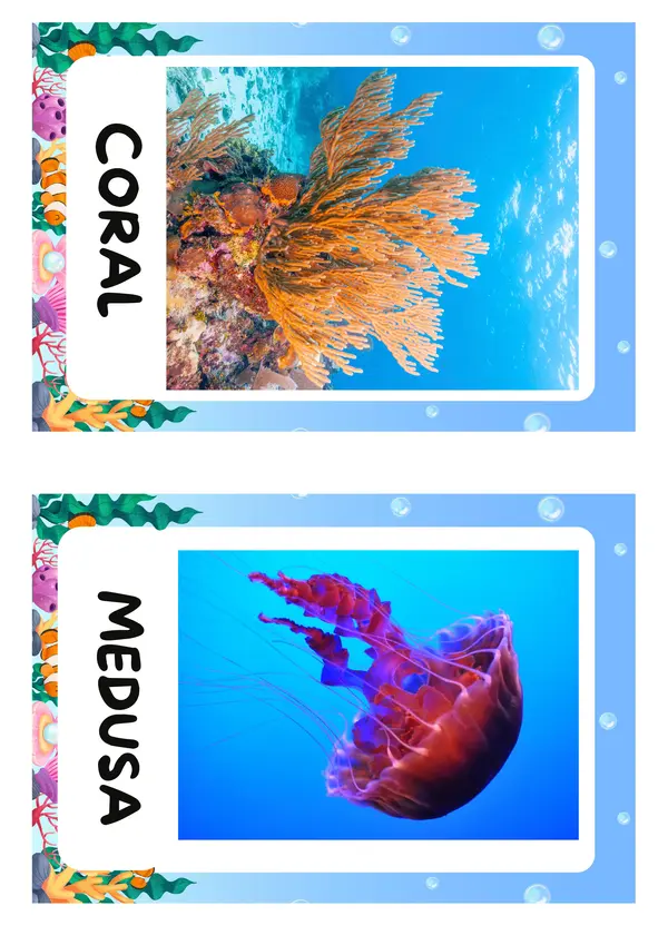 Vocabulario | profe.social