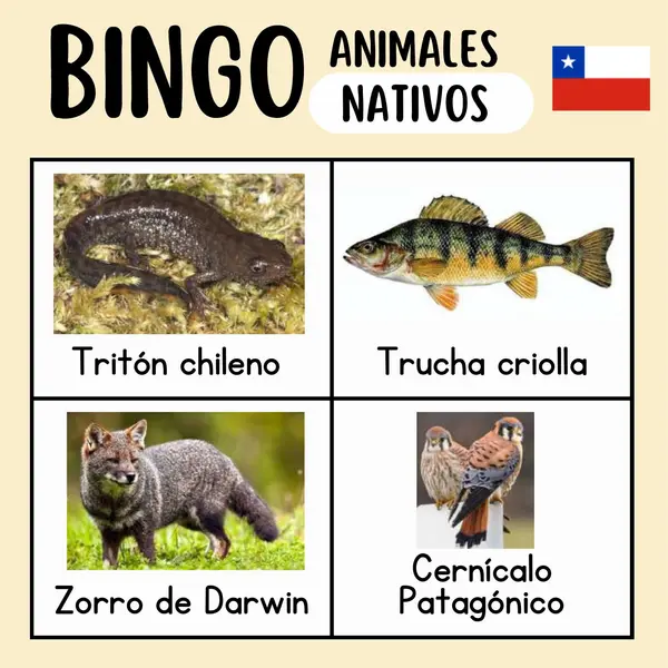 Bingo "Animales Nativos de Chile" | profe.social