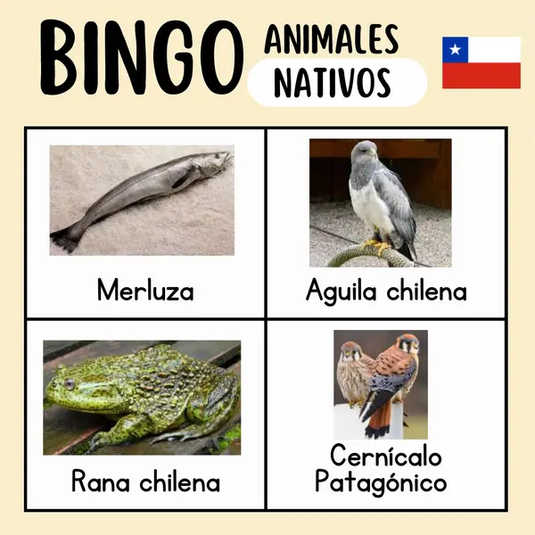 Bingo "Animales Nativos de Chile" | profe.social