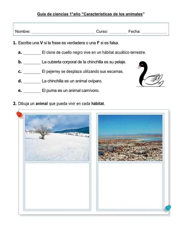 Guía de ciencias 1° año "Características de los animales". | profe.social