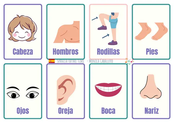 Partes del cuerpo Spanish & English (flashcard) - cancion | profe.social