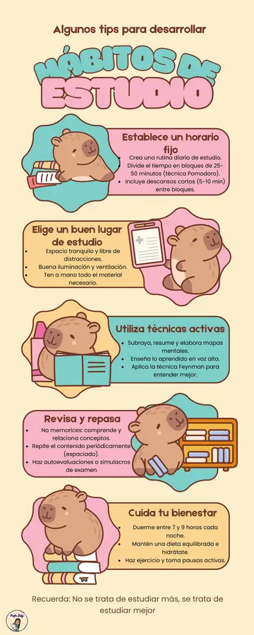Infografía Hábitos de Estudio | profe.social