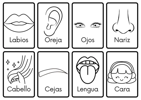 Partes de la cara para colorear | profe.social