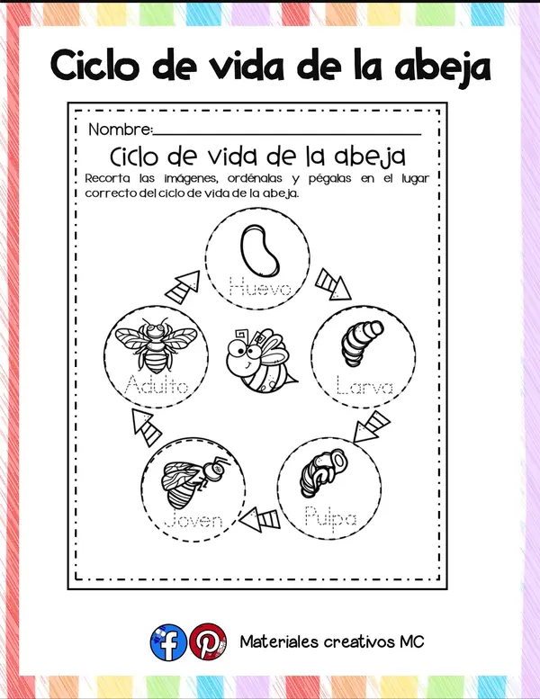 Ciclo de vida de la abeja | profe.social