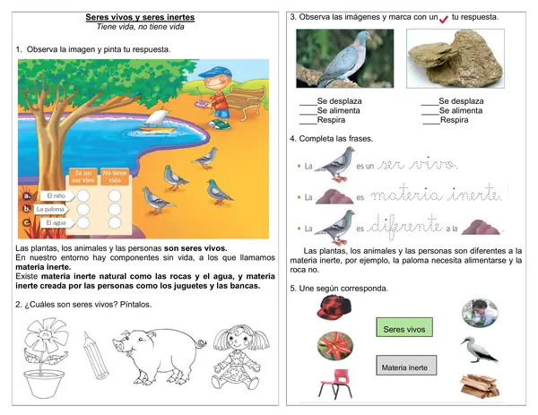 Guía de ciencias 1°año básico "Seres vivos y seres inertes" | profe.social