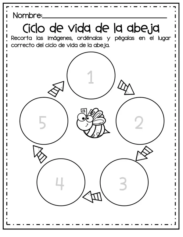 Ciclo de vida de la abeja | profe.social