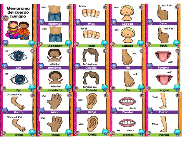 Memorama | profe.social