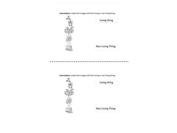 Exit Ticket Human Life Cycle | profe.social