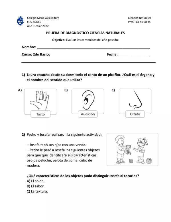 Prueba de diagnóstico 2° básico Ciencias Naturales | profe.social