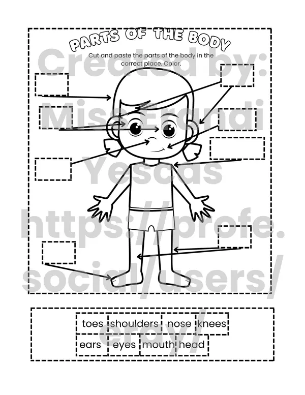 Parts of the body vocabulary | profe.social